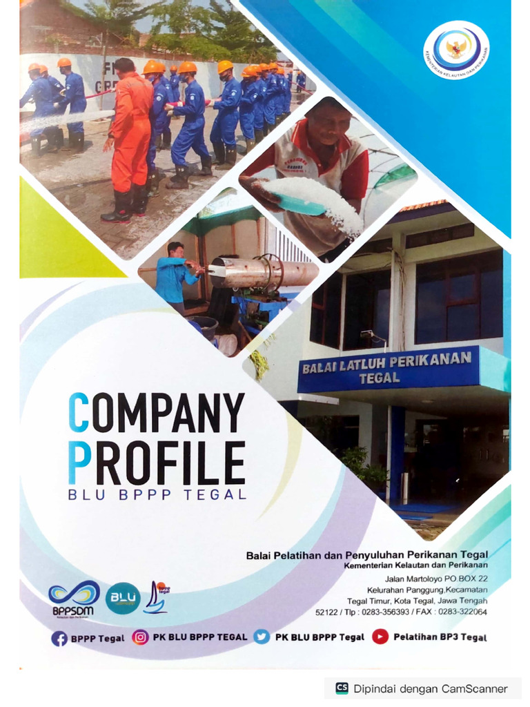 Company Profile BLU BPP Tegal | PDF