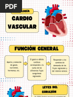 Precarga y Poscarga Cardiaca - Homo Medicus | PDF | Corazón | Sistema ...