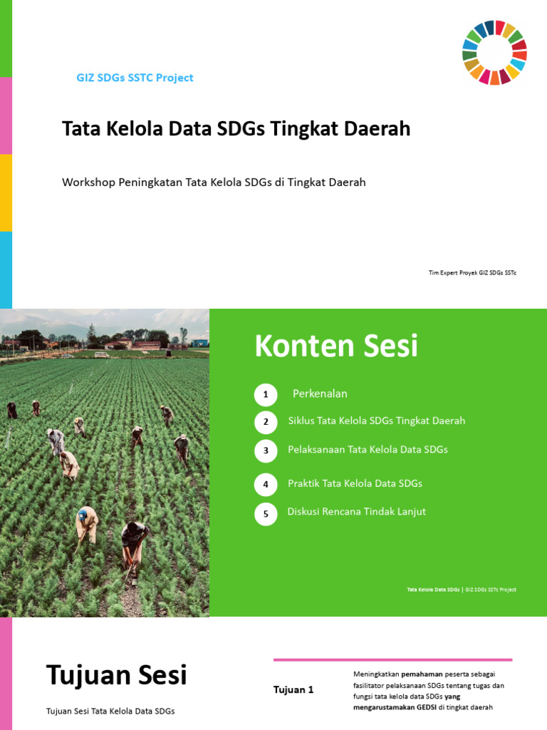Presentasi Tata Kelola Data SDGs-V2 | PDF