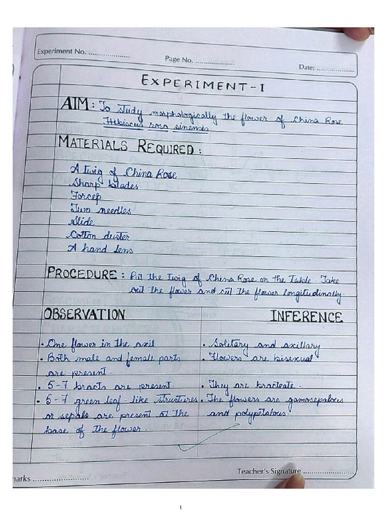 Class 9 Bio Lab Manual | PDF