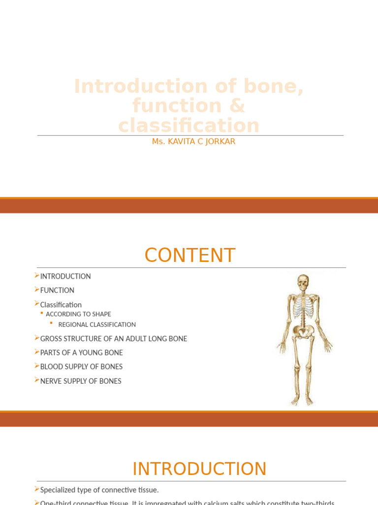 Introduction of Bone, Function & Classification-1 | PDF | Bone | Bone Marrow