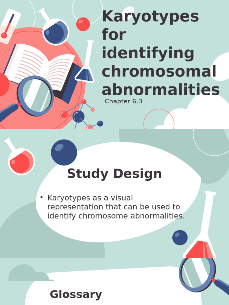 Ch6.3 Karyotypes For Identifying Chromosomal Abnormalities | PDF | Ploidy | Chromosome