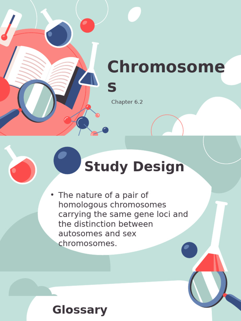 Ch6.2 Chromosomes Part 1 and 2 (New) | PDF | Ploidy | Chromosome