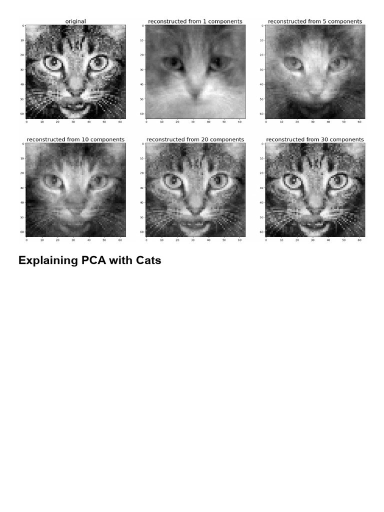 Principal Component Analysis With Cats | PDF | Eigenvalues And ...