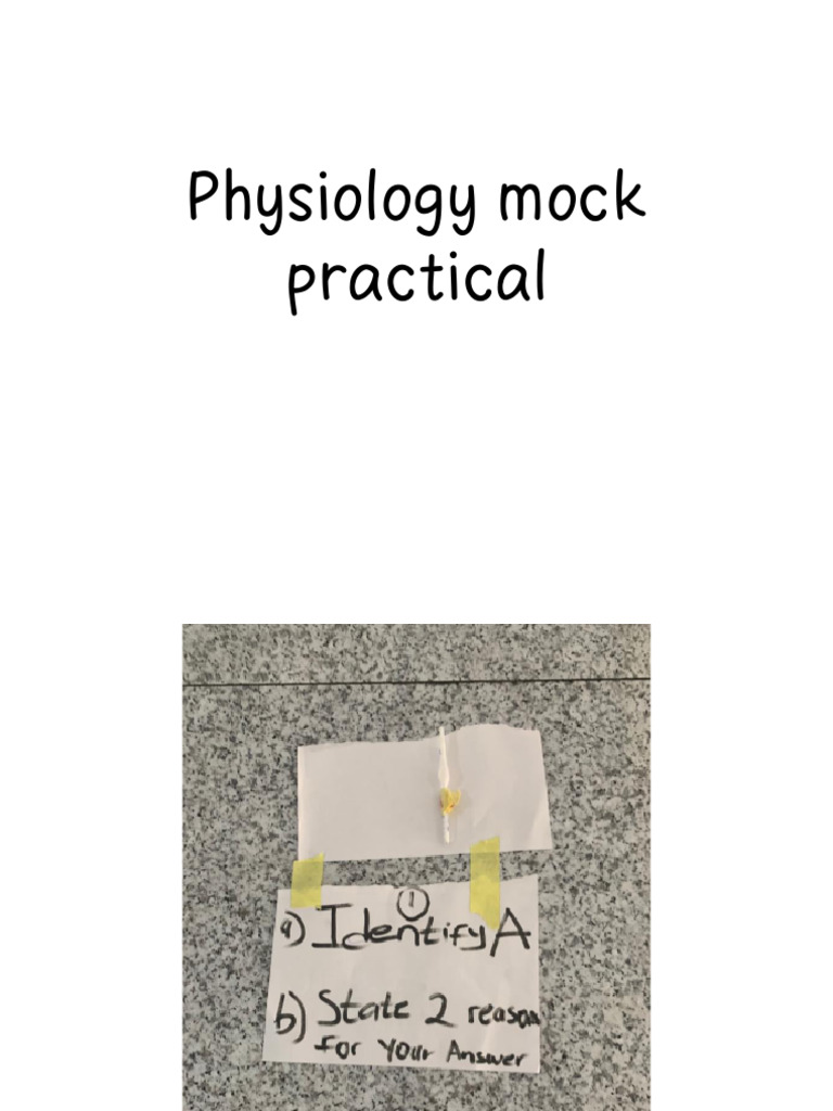 Physiology Mock Practical | PDF
