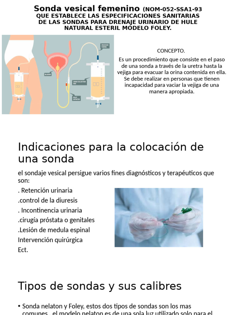 Sonda Vesical Femenina: Guía NOM-052 | PDF | Sistema urinario | Urología