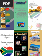 National Symbols of South Africa Explained | PDF