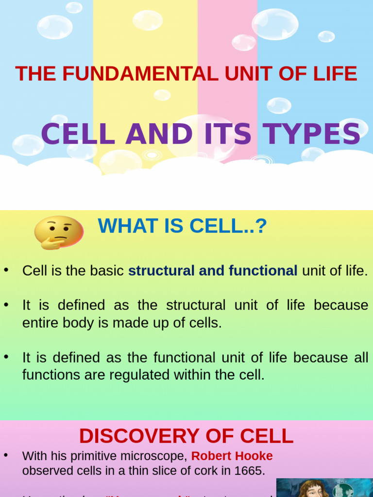 Understanding Cell Structure and Function | PDF | Cell (Biology ...