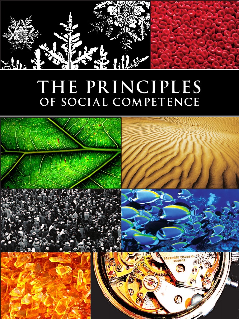 Principles 101 | PDF | Feminism | Gender Studies