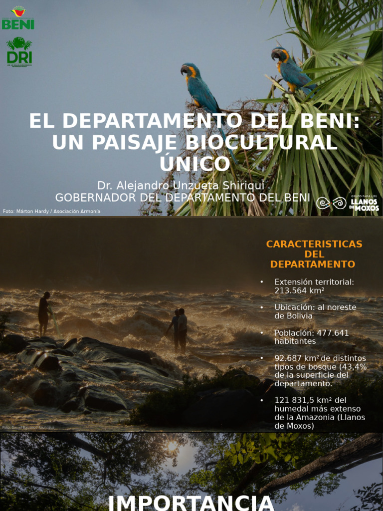 GCF Task Force Presentacion Ucayali | PDF | Fuego fatuo | Los bosques
