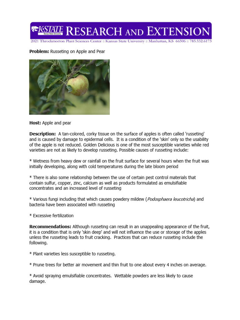 Apple Russeting | PDF