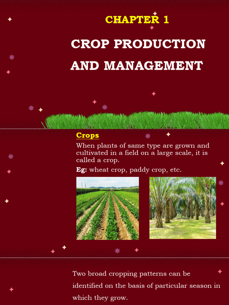 Chapter 1 Crop Production and Management 8TH Cbse | PDF | Crops | Soil