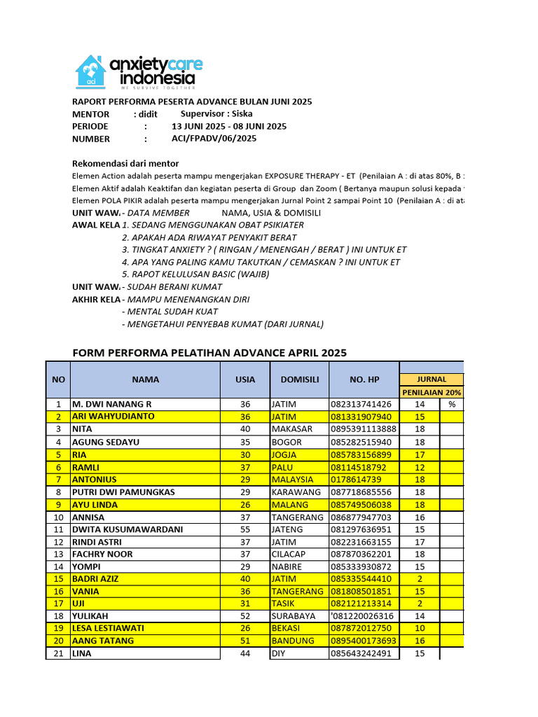 Form Raport Didit Advance Juni 2025 Final | PDF