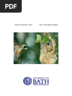 Usfws-R6-Eagle-Nest-Survey Protocol-Recommendations-Wind-Energy ...