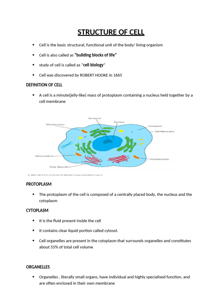 Structure & Function of Cell | PDF | Cytoplasm | Cell Membrane