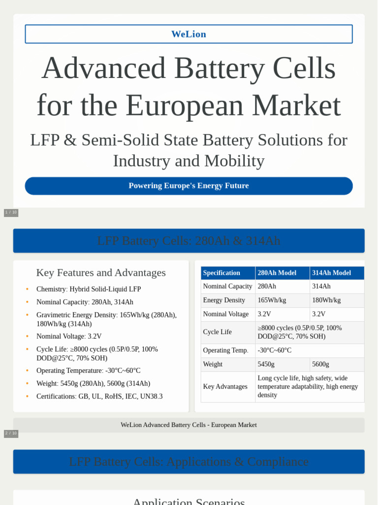 WeLion Advanced Battery Solutions | PDF | Electricity | Electric Power