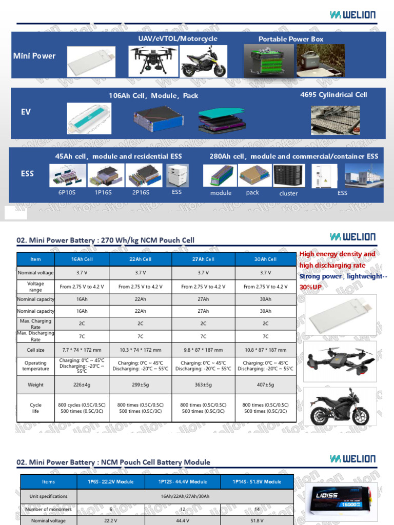 UAV Pouch Cells From WeLion 2 | PDF | Lithium Ion Battery | Energy Storage