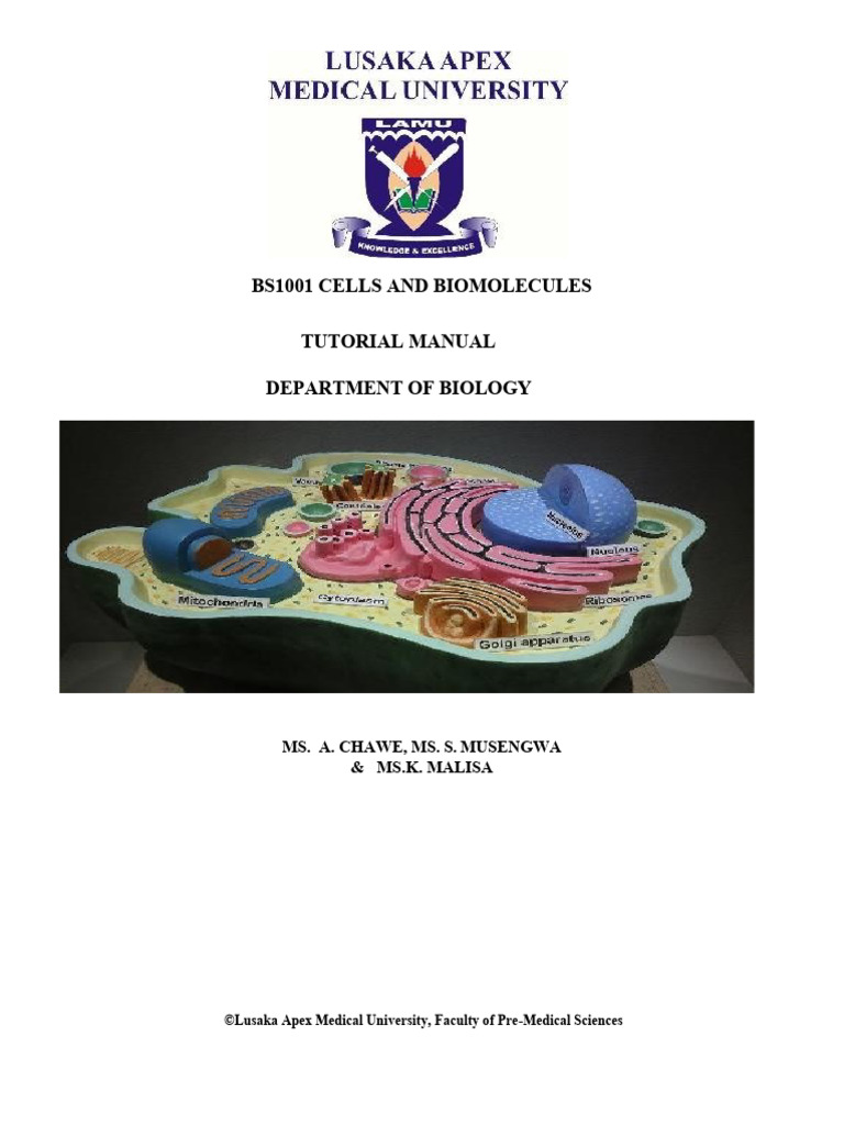 Bs 1001 Tutorial Manual - 2025 | PDF | Mitosis | Meiosis