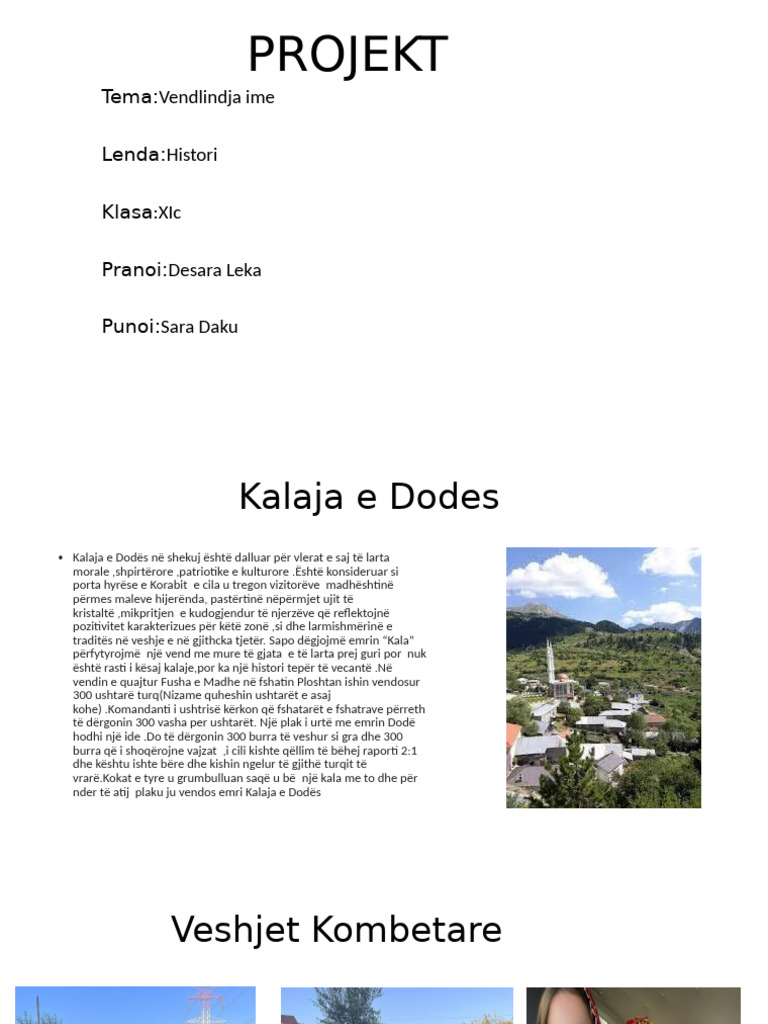 PROJEKT Histori | PDF