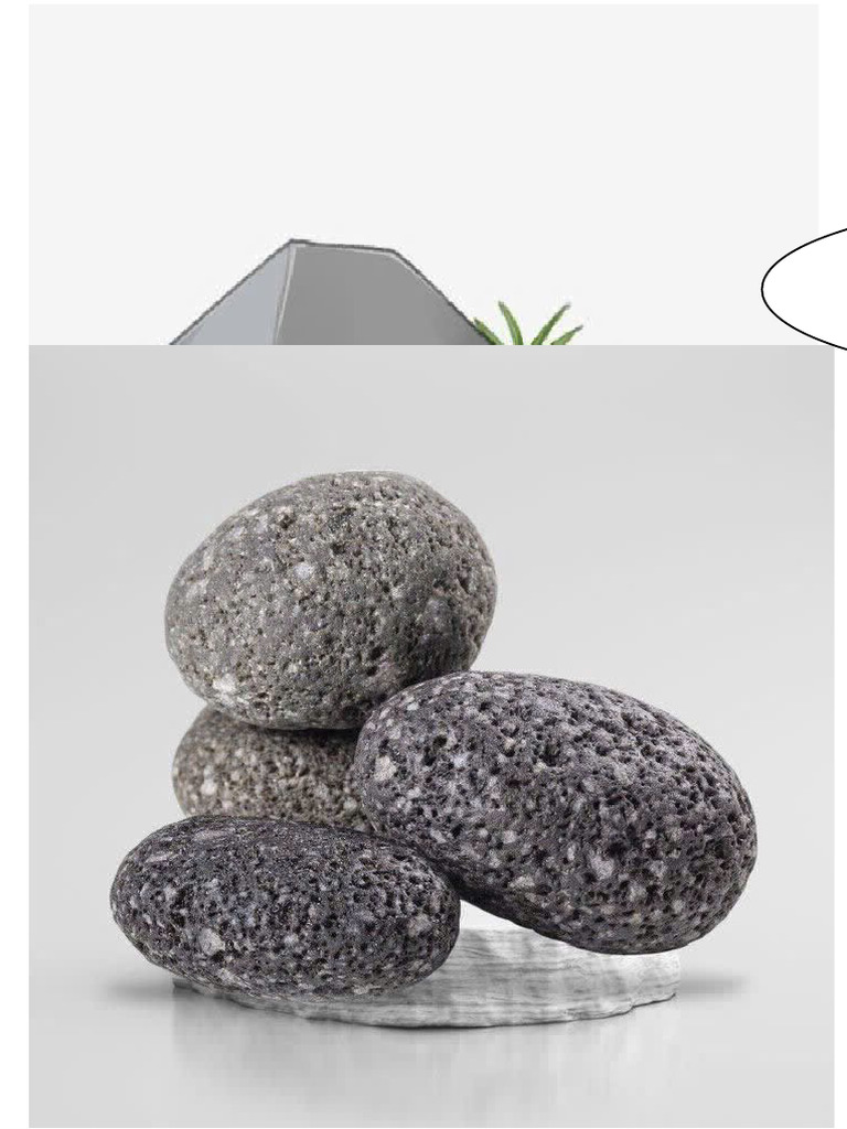 Flashcard Week 3 | PDF