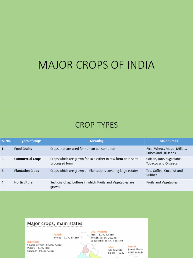 Major Crops of India | PDF | Crops | Cereals