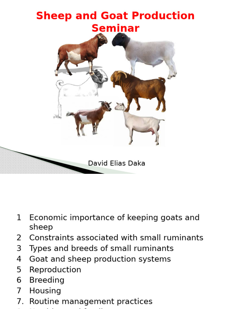 Dehorning Older Goats with Bands | PDF | Sheep | Goat