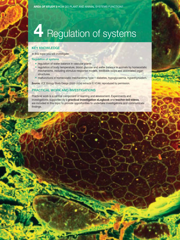 Jacaranda Nature of Biology 1 VCE Units 1 Chapter 4-Compressed | PDF | Stoma | Root