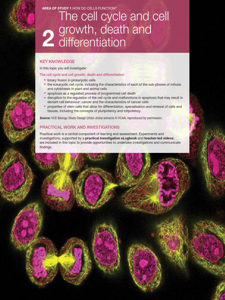 Jacaranda Nature of Biology 1 VCE Units 1 Chapter 2-Compressed | PDF ...