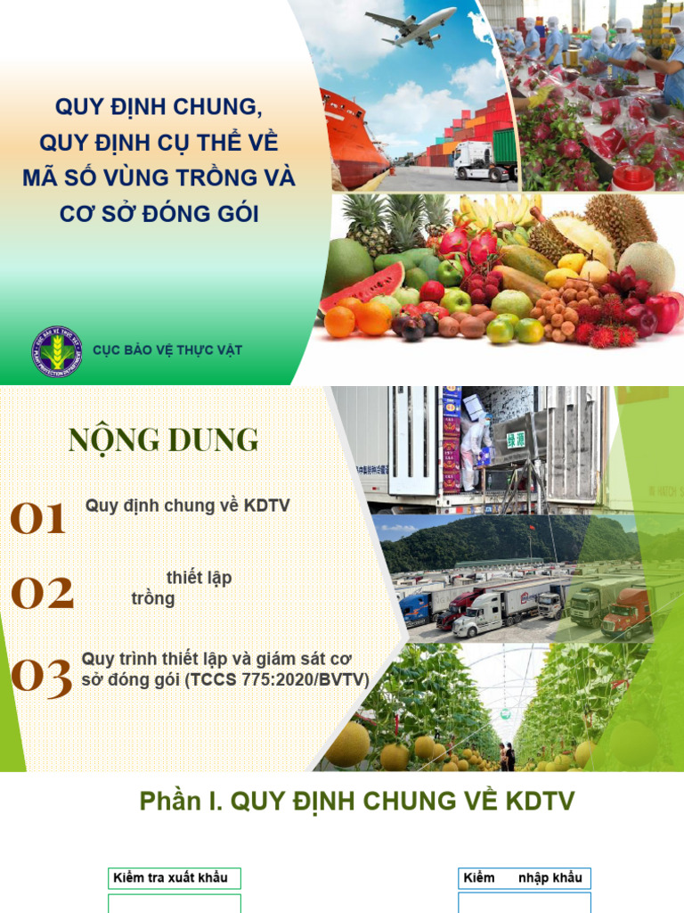 Quy Dinh MSVT Va CSDG. TS Phan Thị Thu Hiền | PDF