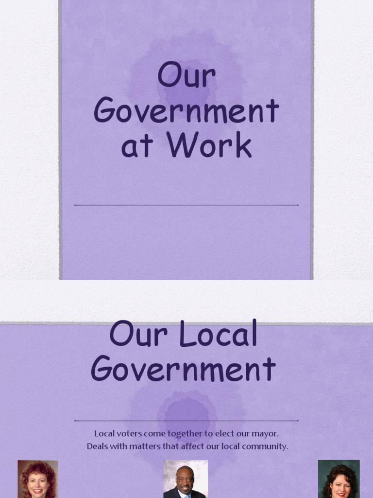 Local State National Government | PDF