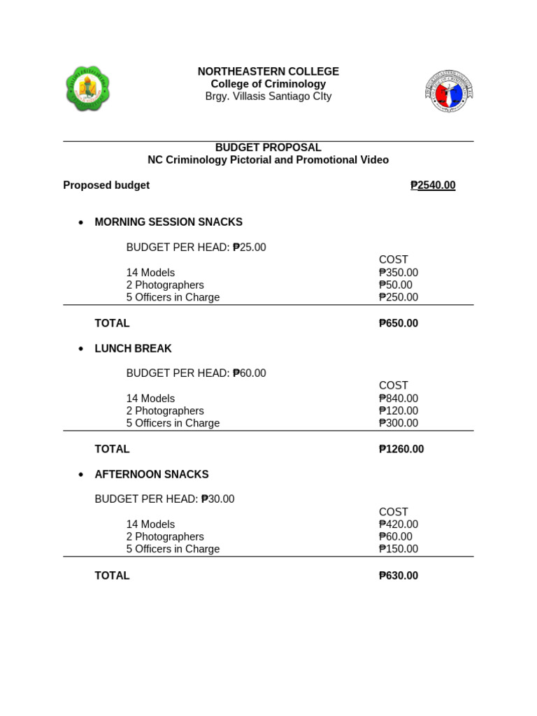 Budget Proposal For Promotional Video | PDF