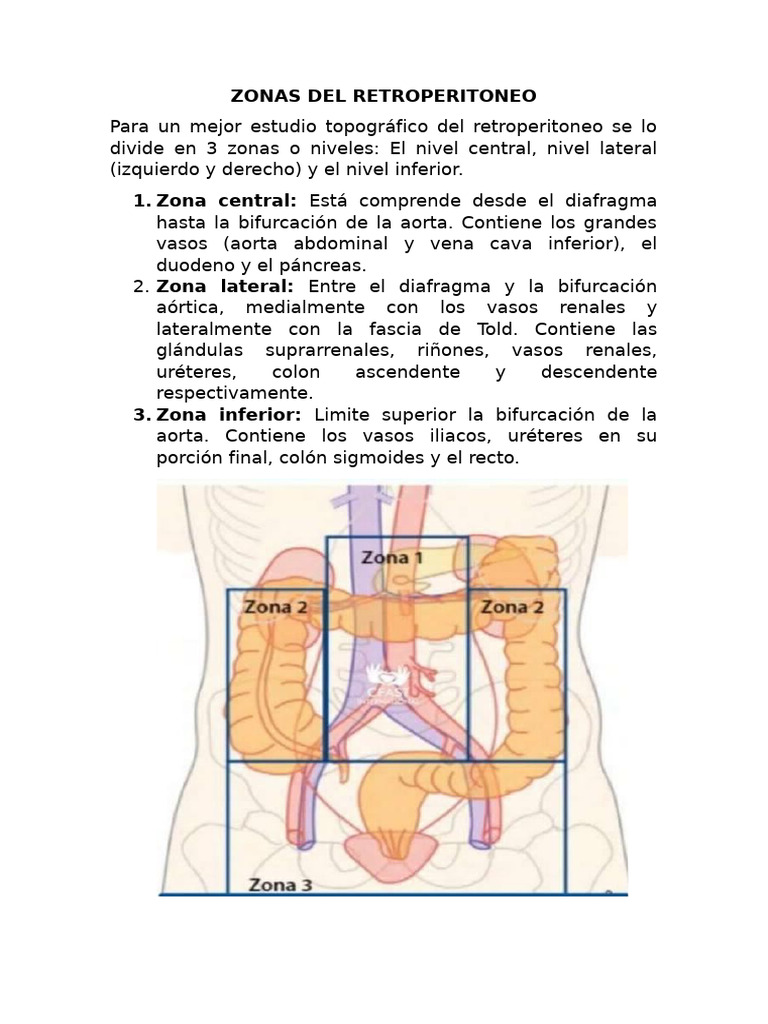 Retroperitoneo Zonas CX | PDF
