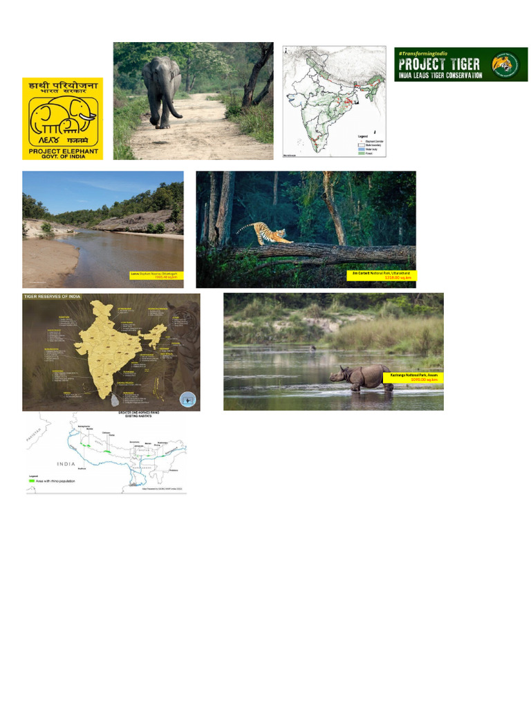 Project Elephant Overview and Resources | PDF