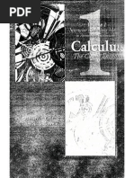 Calculus Topics List | PDF