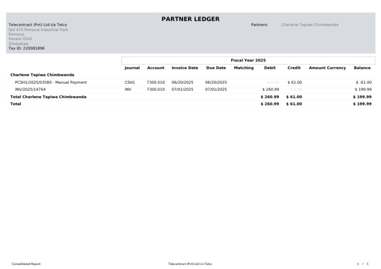 Partner Statement Charlene Tapiwa Chimbwanda 2025-01-01 To 2025-12!31!20250718 101027 | PDF