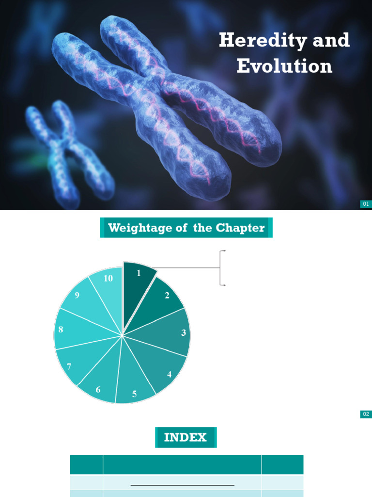 Heredity and Evolution Overview | PDF | Messenger Rna | Translation ...