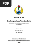 RPP Deep Learning - Kelas 3 | PDF