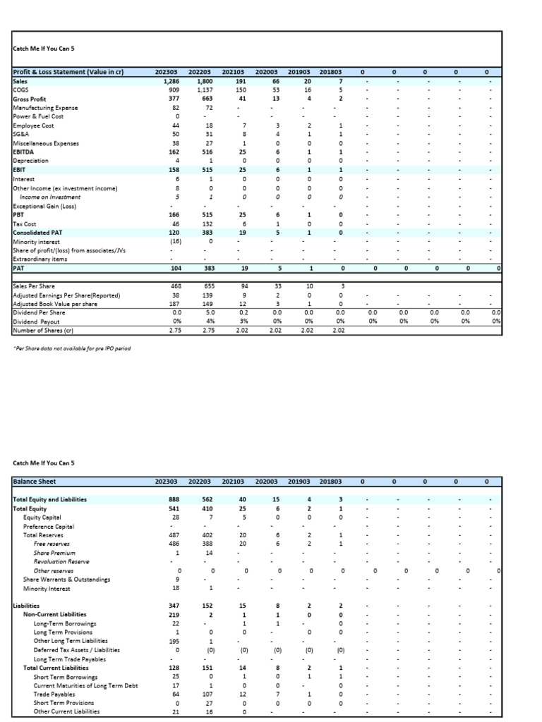2023 Profit & Loss and Balance Sheet Analysis | PDF | Private Sector ...