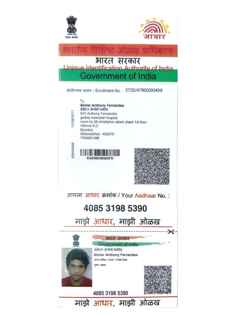 Alister Fernandes - Addhar | PDF