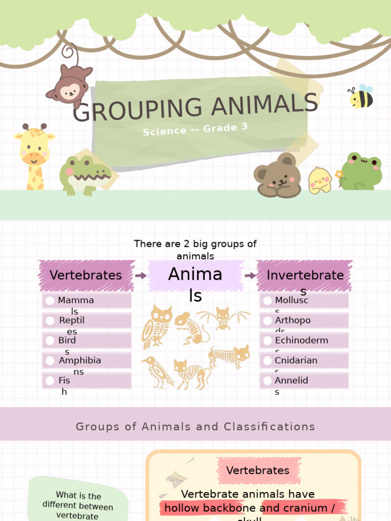 Unit 1 Animal Adaptation - Grouping & Identifying Animals | PDF ...