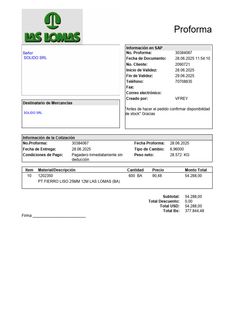 Solido SRL 28-06-2025 SCZ | PDF