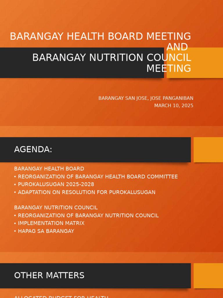 Barangay Health Board Meeting Agenda 2025 | PDF