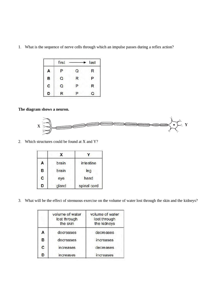 Coordination & Response (Multiple Choice) 1 QP | PDF | Skeletal Muscle ...