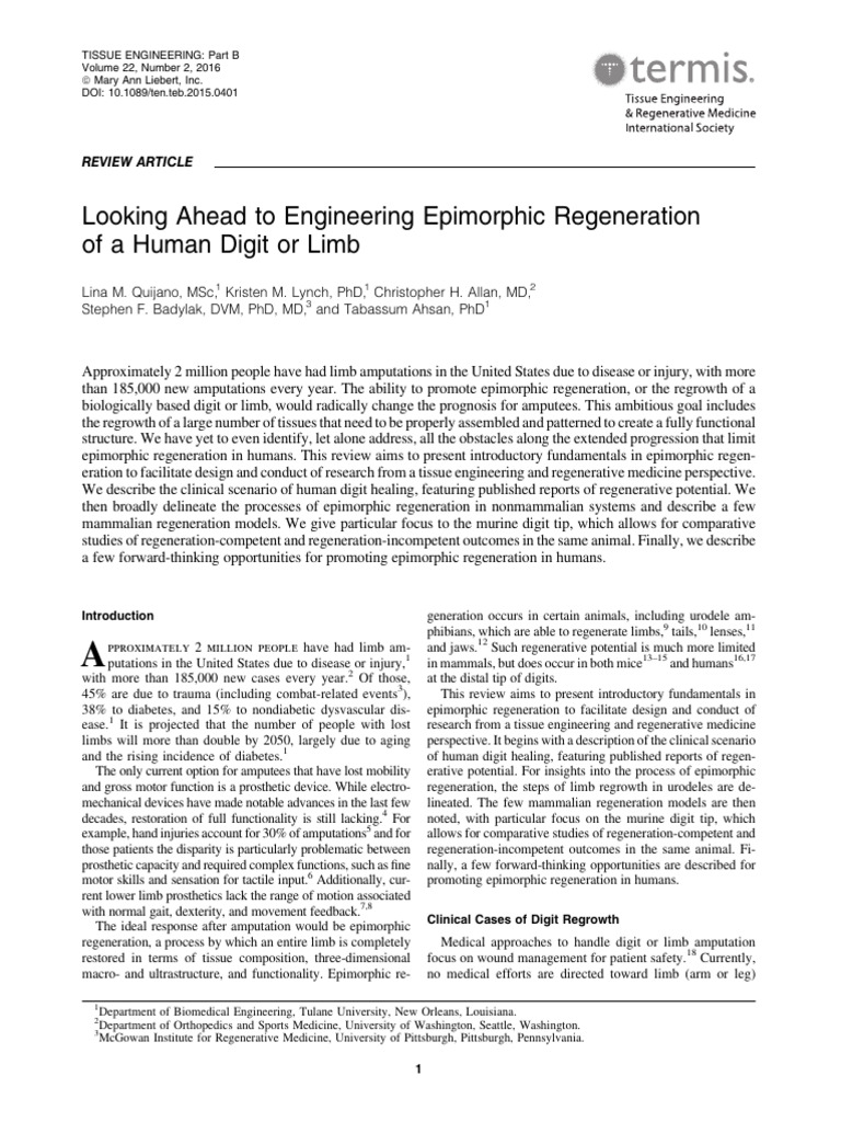 Looking Ahead To Engineering Epimorphic Regeneration | PDF ...
