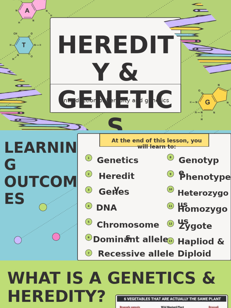 Heredity Genetics Introduction | PDF | Genetics | Gene
