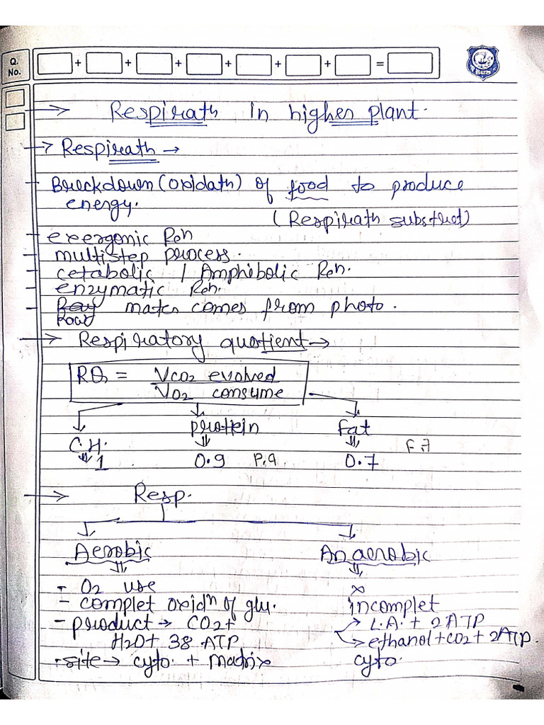 Respiration in Plant | PDF