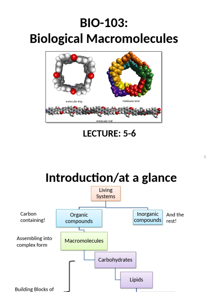 Lec-5,6 - The Biological Macromolecules | PDF | Macromolecules | Lipid