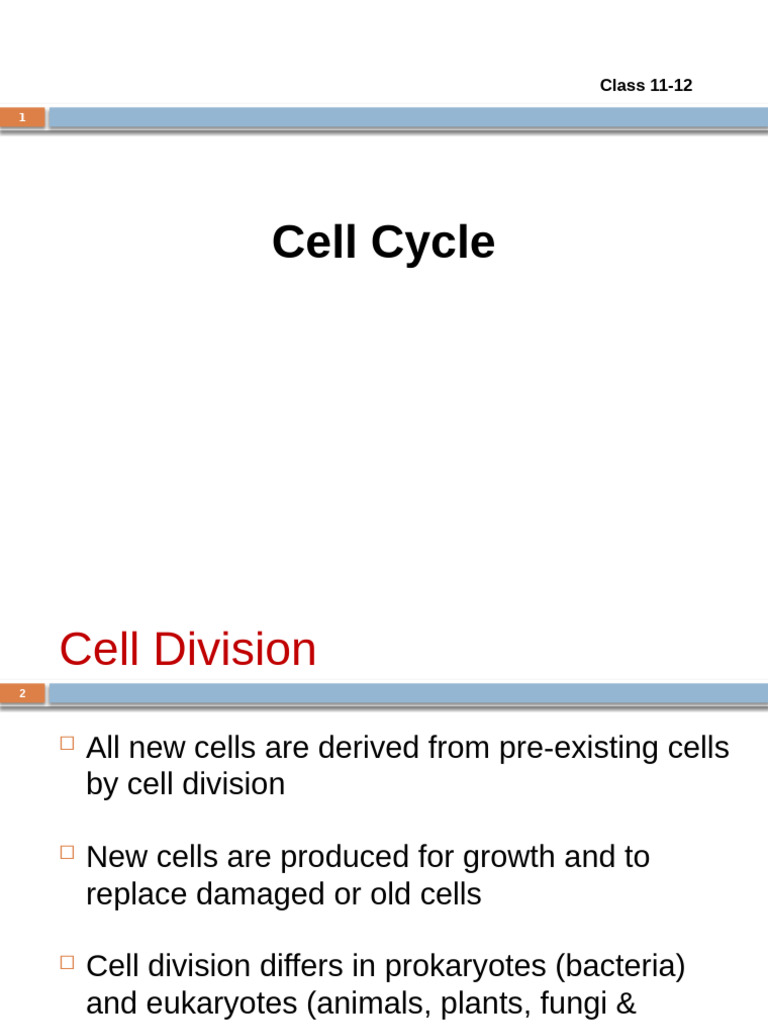 Lec-11,12 - The Cell Cycle | PDF | Meiosis | Chromosome