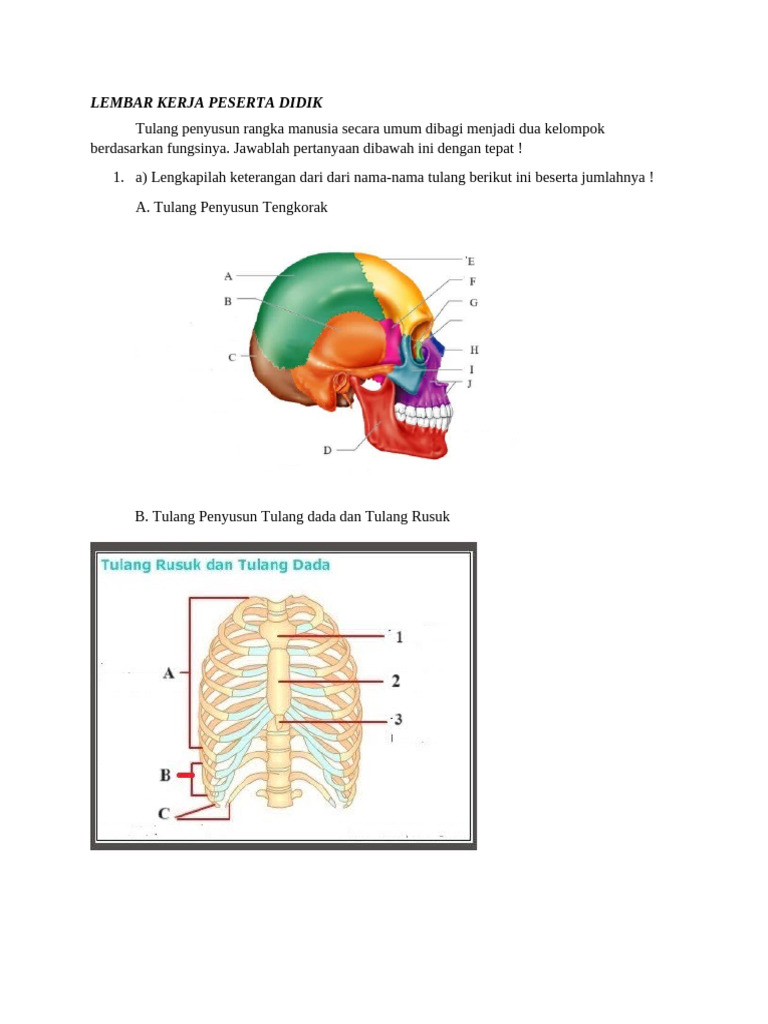 LKPD Tulang Penyusun Rangka Tubuh 3 | PDF