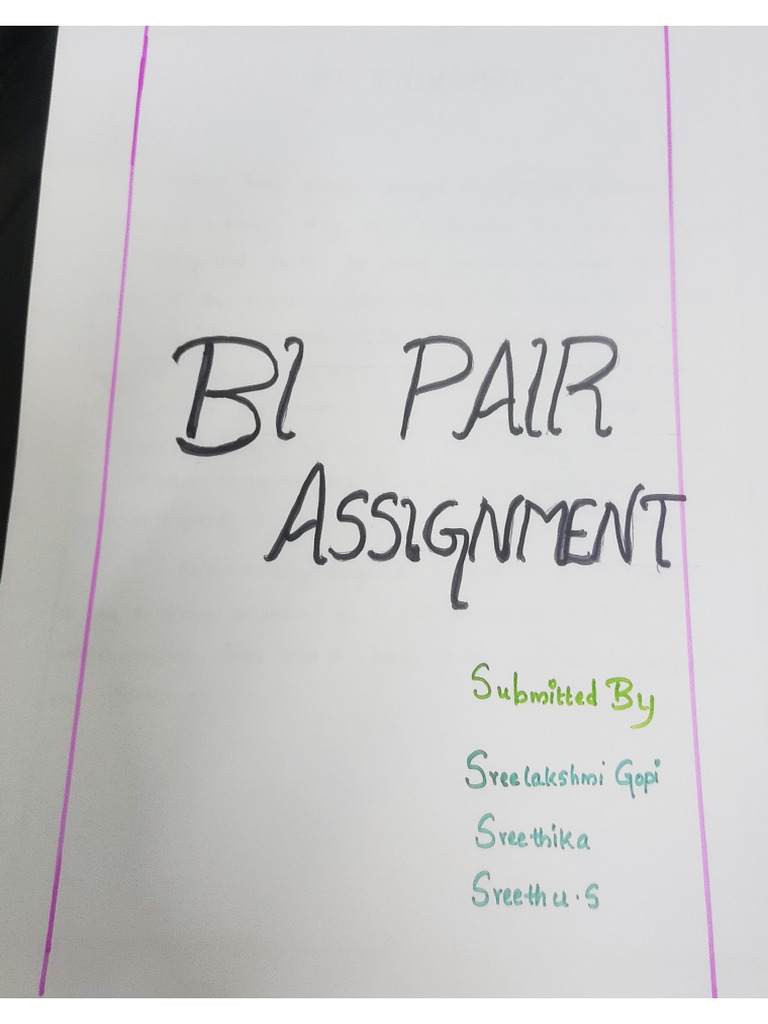 BI Pair Assignment | PDF